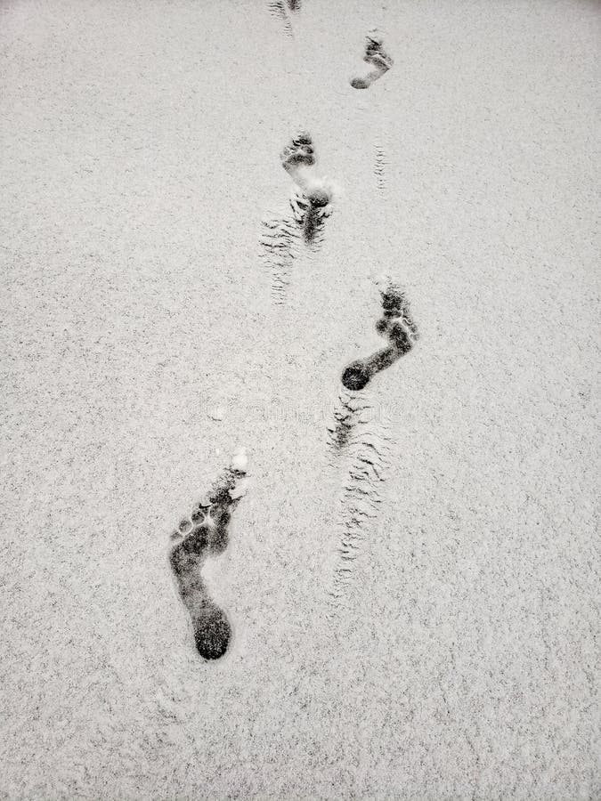 Barefoot Human Footprints in Fresh Snow, Top View Trail on White ...