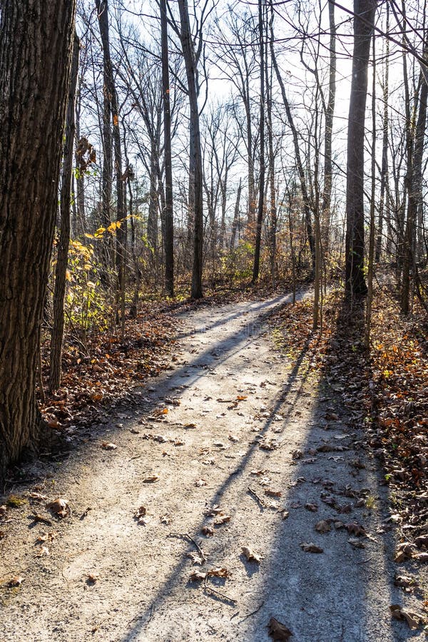 A Trail through a Barren Forest at the End of the Fall Season Stock ...