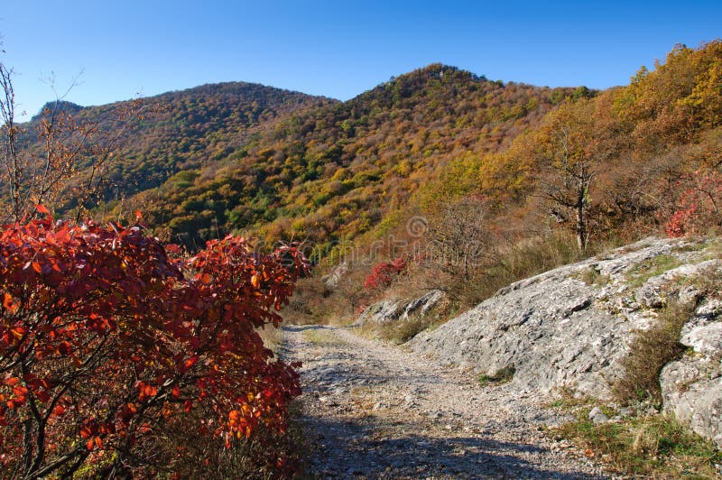 The Trail in a Beautiful Autumn Mountains Stock Image - Image of hike ...