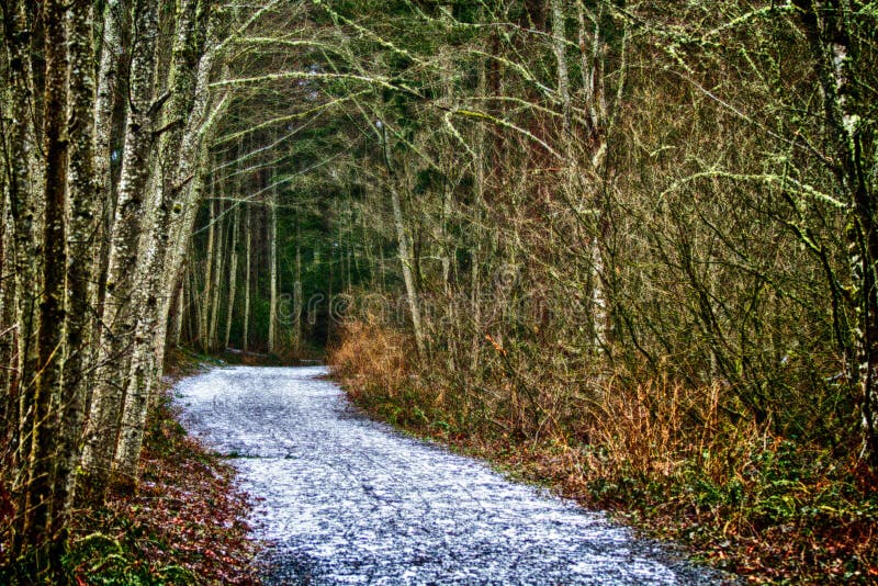 Trail Bend Around the Corner Stock Image - Image of season, green: 41982609