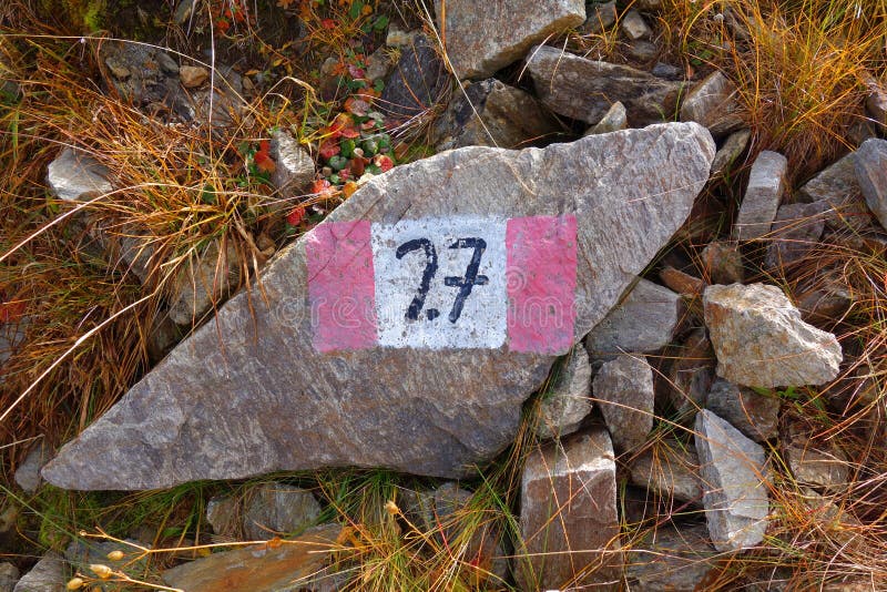 Trail Blazing on a Hiking Path through the Woods Stock Image - Image of ...