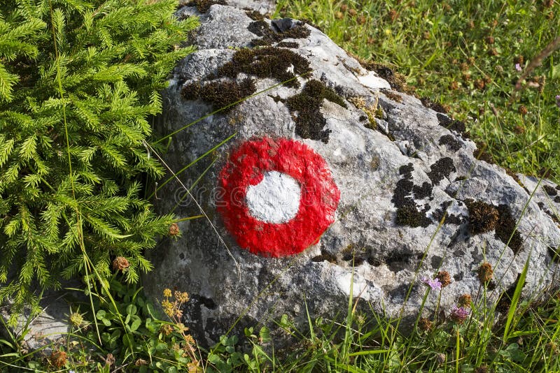 Trail Blazing on a Hiking Path through the Woods Stock Image - Image of ...