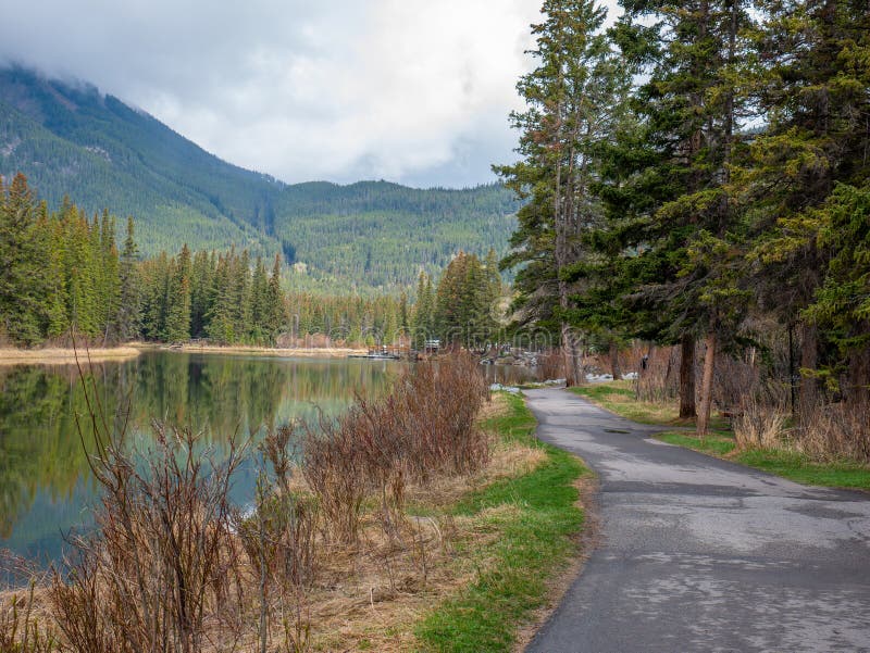 Trail on the Bow River, Banff, Alberta, Canada Stock Photo - Image of ...