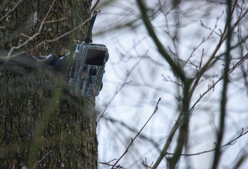 Trail camera stock image. Image of hunting, setup, trail - 133982643 Trail camera stock image. Image of hunting, setup, trail - 133982643