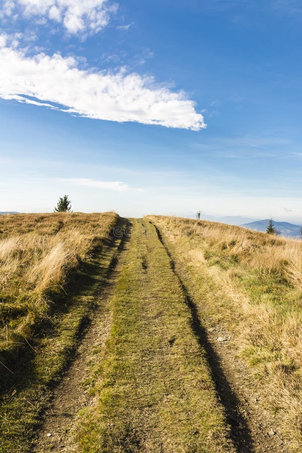 Trail by clearing stock image. Image of autumn, landscape - 48257977