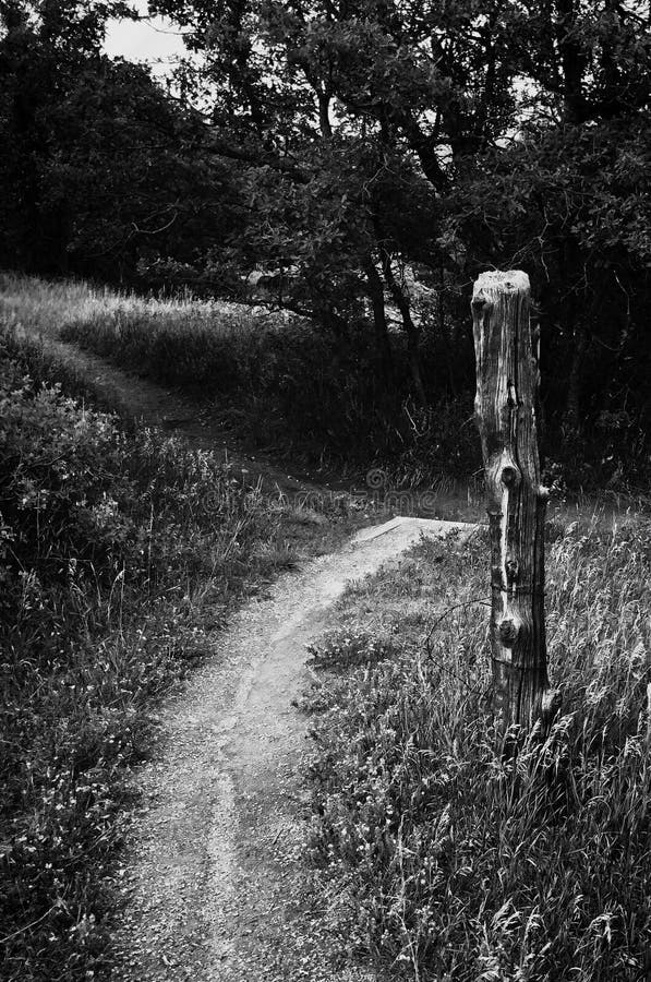 Post and Trail in Black and White Stock Photo - Image of nature, post ...