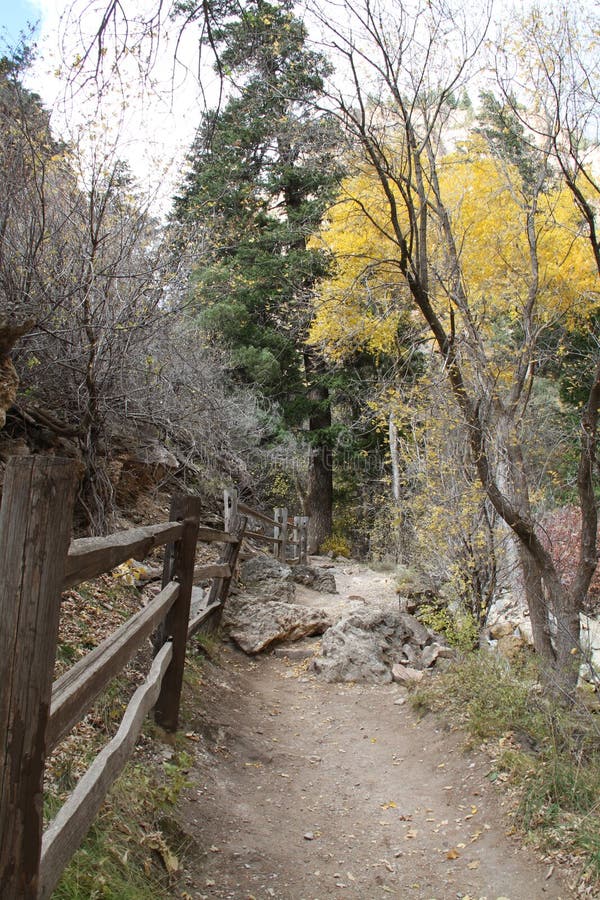 Trail in colorful forest stock image. Image of wooded - 22039111