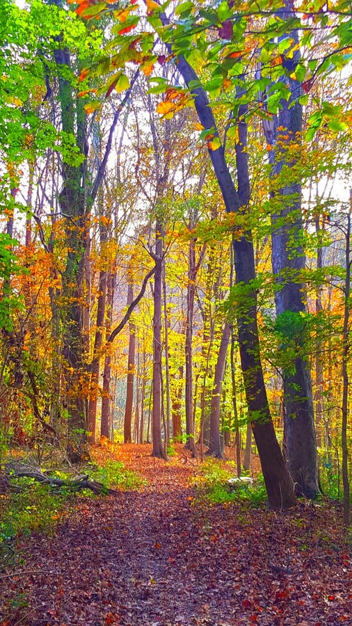 Trail of colors stock photo. Image of fall, colorful - 80704062