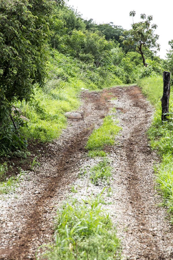 Trail in the countryside stock image. Image of scenery - 86839563