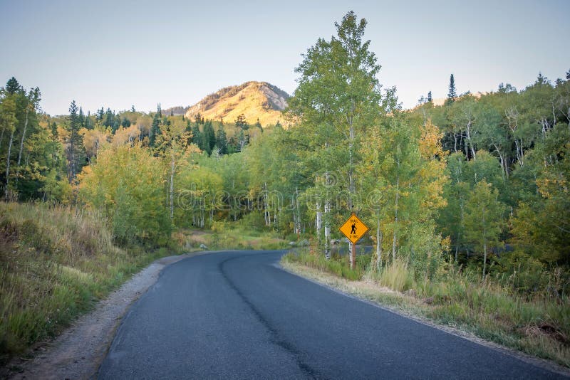 Trail Crossing Sign in the Mountains Stock Image - Image of lifestyle ...