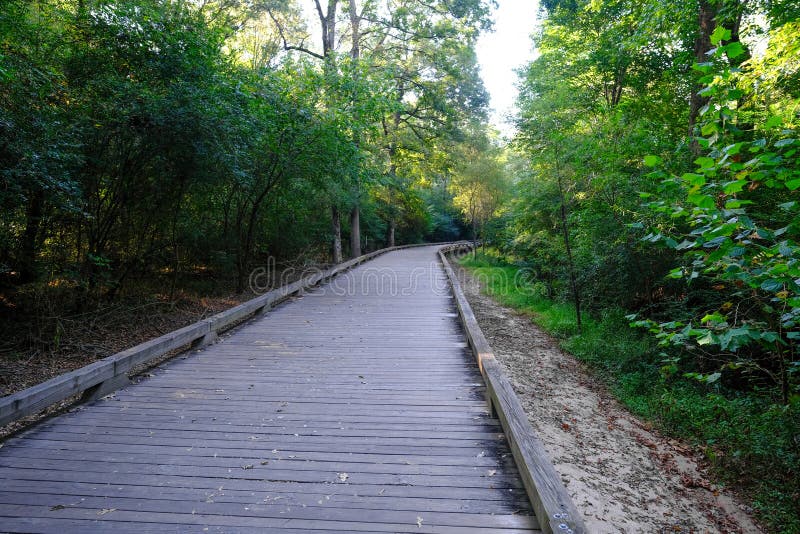 Curving Wood Staircase stock photo. Image of interior - 15142808