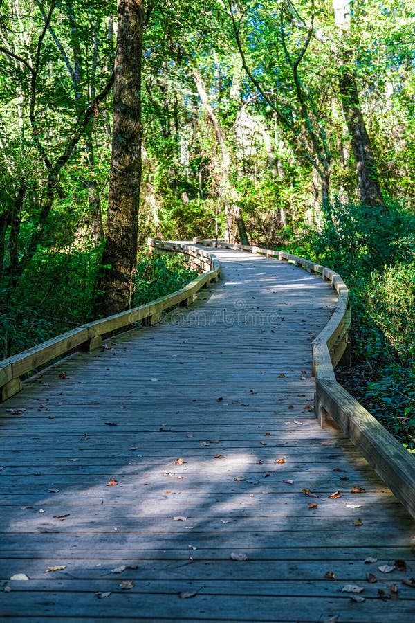 Curving Wood Staircase stock photo. Image of interior - 15142808