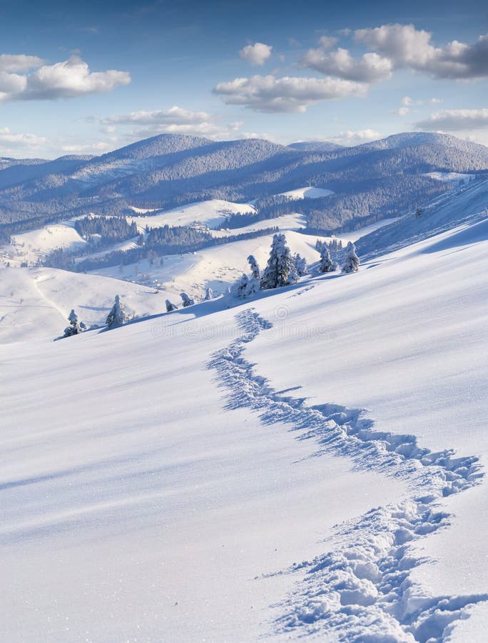 Trail in Deep Snow in the Winter Mountains Stock Image - Image of ...