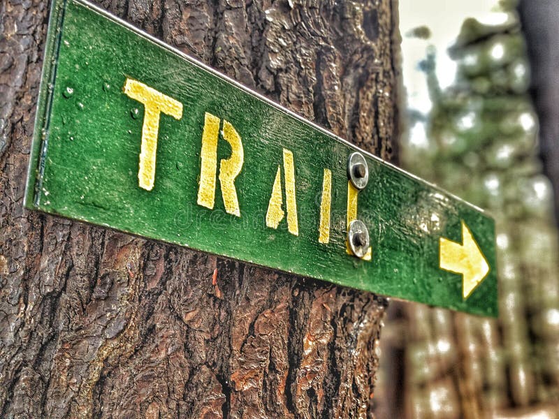 Trail Direction Arrow on Tree Pointing Stock Photo - Image of direction ...