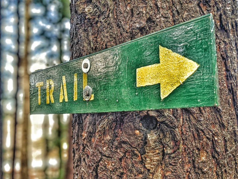 Trail Direction Arrow on Tree Pointing Stock Photo - Image of pointing ...