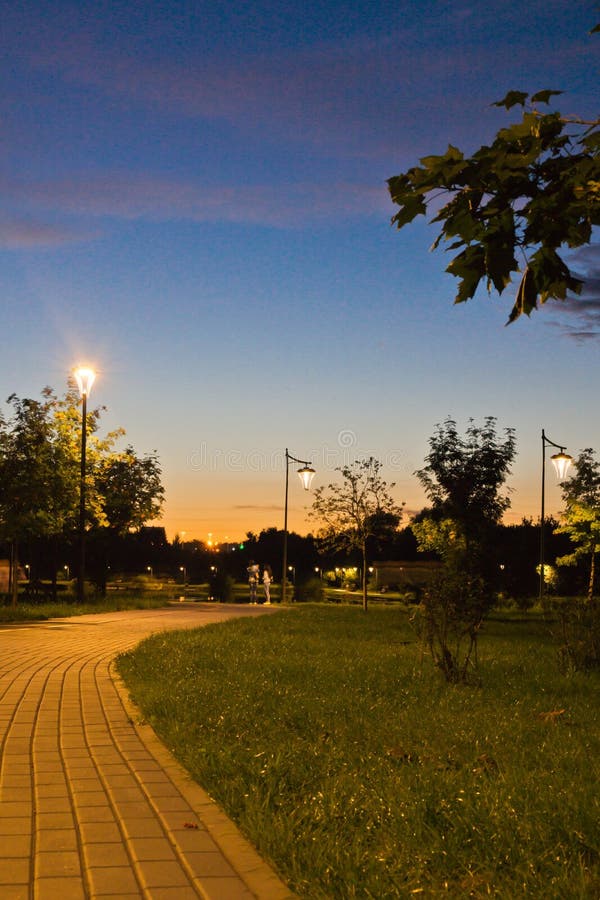 Walking Trail in Evening Park in Summer Stock Photo - Image of evening ...