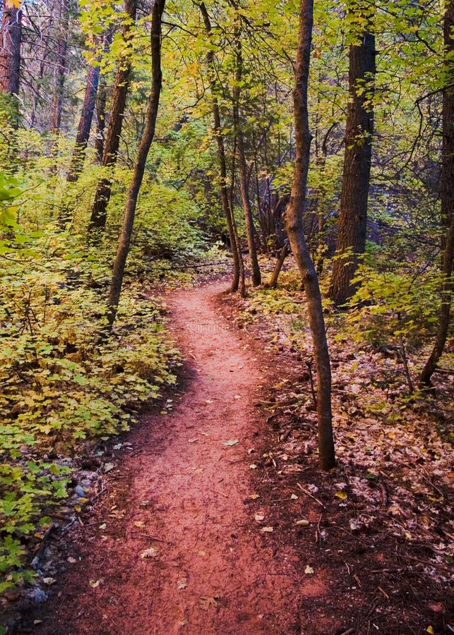A Trail in Fall Colors stock image. Image of trees, colorful - 3538843
