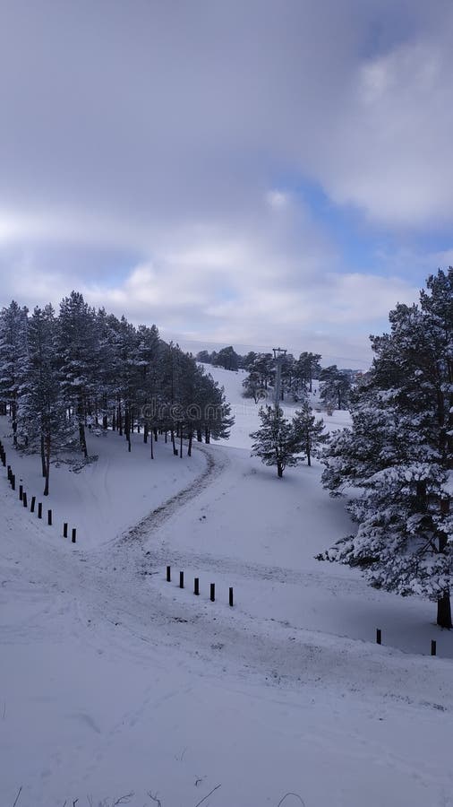 Trail in a Field Covered in Snow on a Cloudy Day Stock Photo - Image of ...