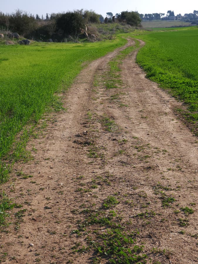 Trail in the field stock photo. Image of farm, green - 265504404
