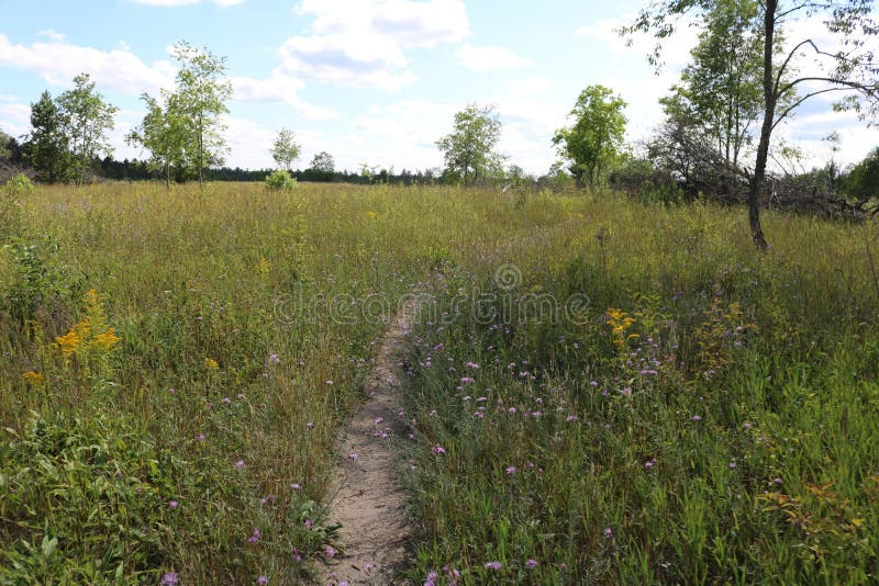 Trail through a Field in Michigan Stock Photo - Image of path, trail ...