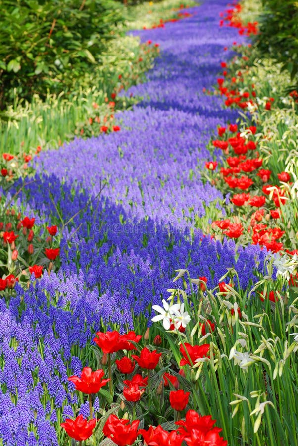 Coconut Palm Trees On Beach Stock Photo - Image of cloud, islands: 5432512
