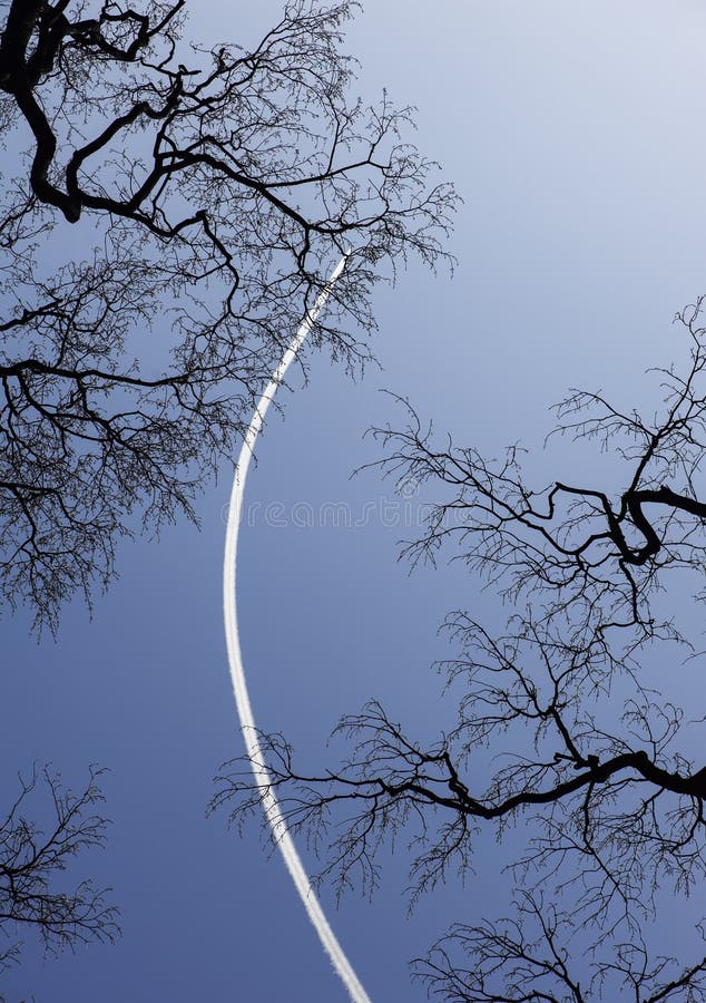 The Trail of Flying Airplane in Clear Blue Sky and Tree Branches Stock ...