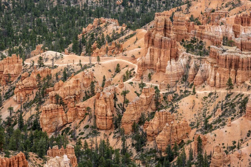 Trail Follows a Ridge Down into the Forest and Hoodoos Stock Image ...