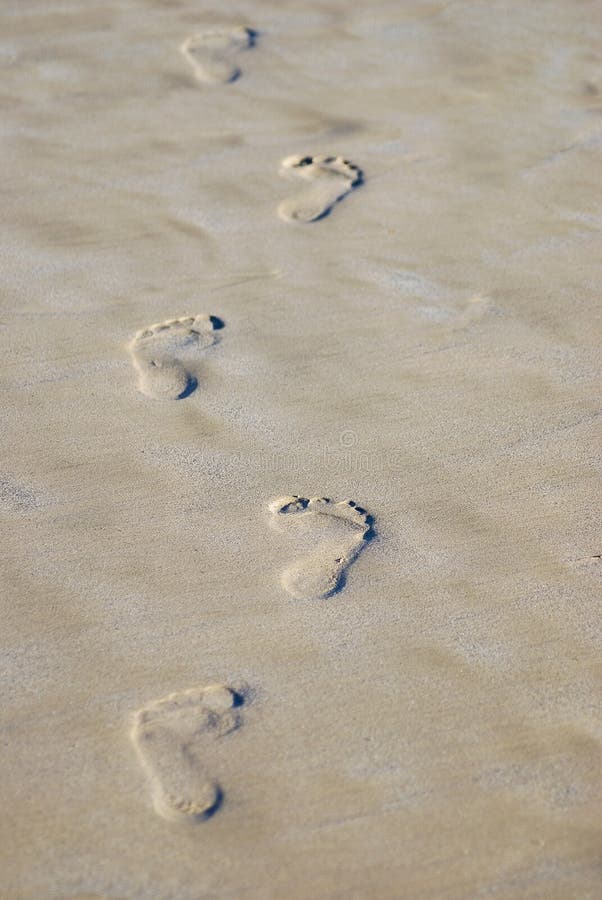 Trail of footprints stock image. Image of nature, sandy - 3194221