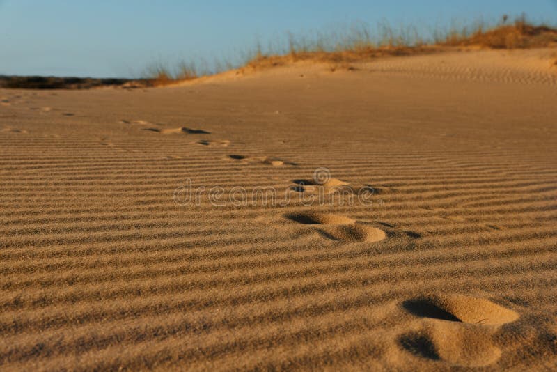 Trail of Footprints on Sand in Desert Stock Photo - Image of season ...