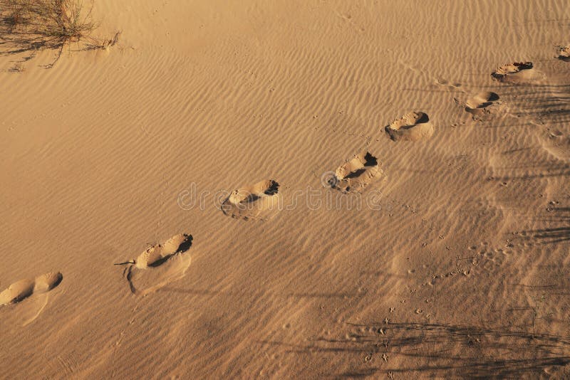 Trail of Footprints on Sand in Desert Stock Photo - Image of texture ...