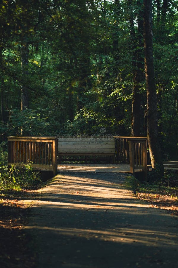A Trail in the Forest with Benches and a Bench on One Side Stock Image ...