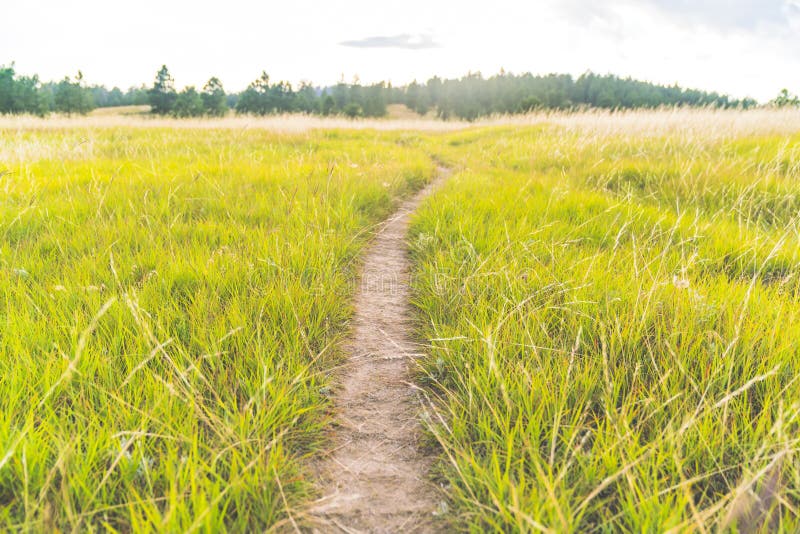 Trail the grass field. stock image. Image of country - 125524473