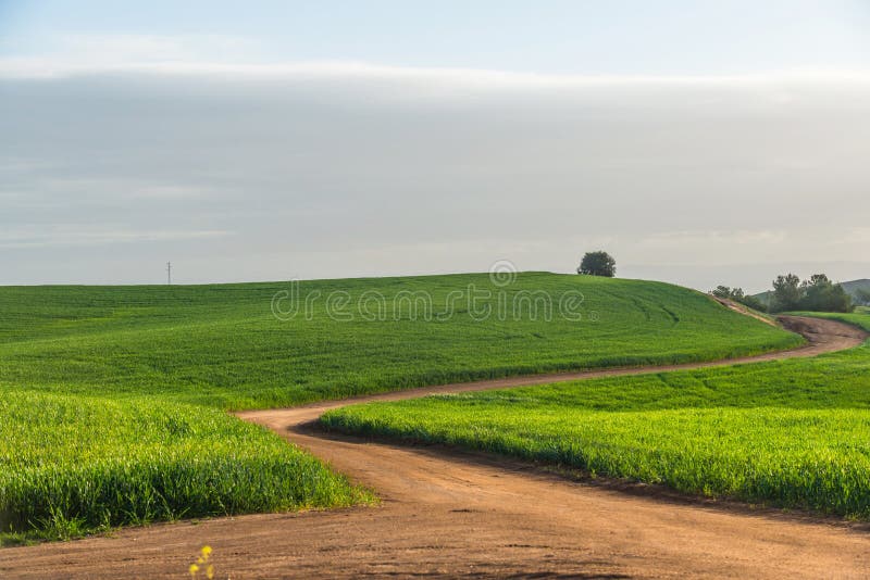 Trail through the Grassy Field Stock Image - Image of meadow, rural ...