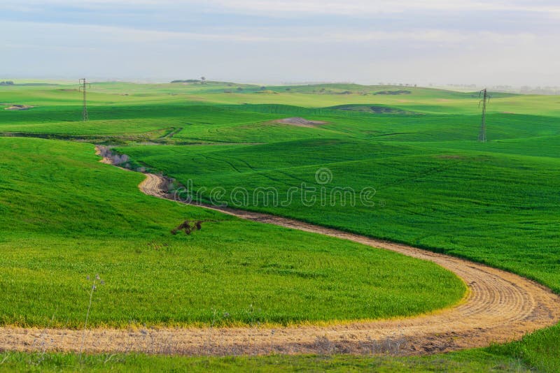 Trail through the Grassy Field Stock Photo - Image of scene, tranquil ...