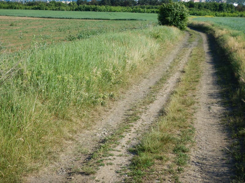 Trail in a Green Field and Nature Stock Photo - Image of ground, field ...
