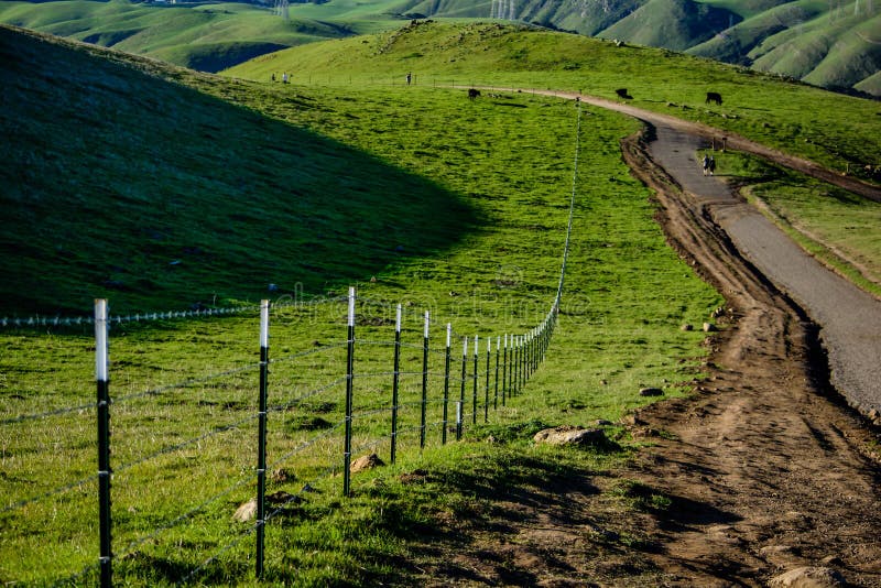 Trail at Green Mountain in the Spring Stock Image - Image of alpine ...
