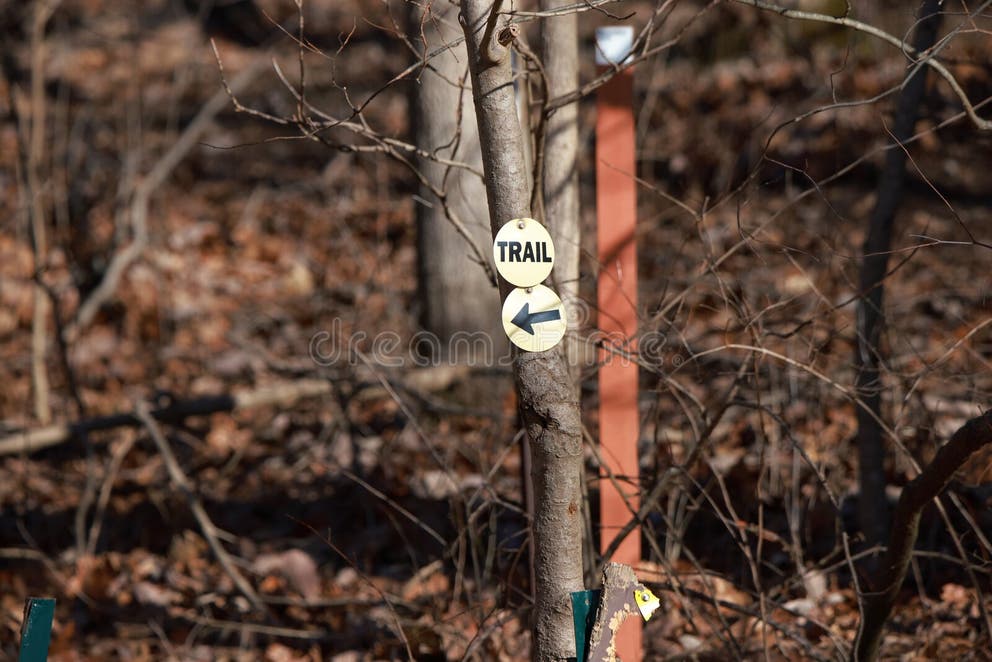 Trail Indicator Sign Attached To a Tree Stock Image - Image of outdoors ...