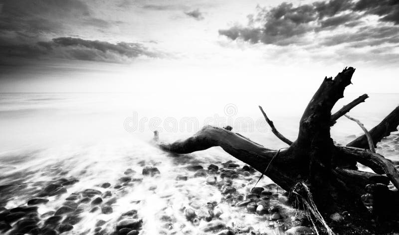 Death Life Live Wallpaper Black White Stock Photos - Free & Royalty ...