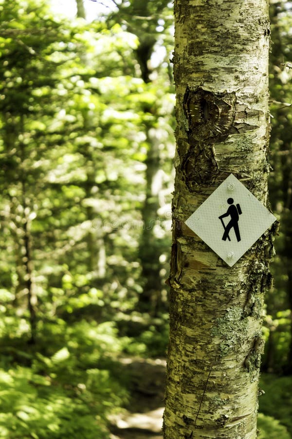 Trail Marker stock image. Image of trail, forest, trees - 40818895