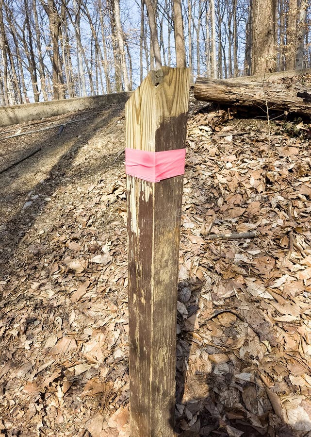 Trail Marker on a Post on a Nature Trail Stock Image - Image of travel ...