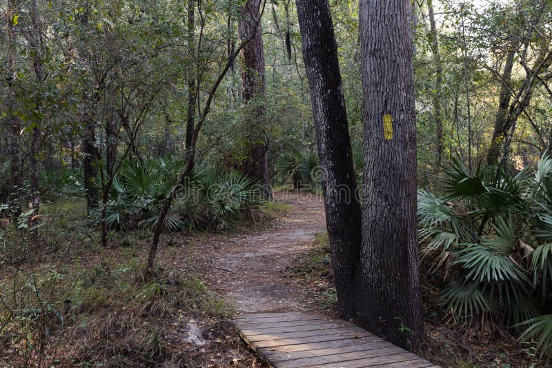 Trail Marker stock image. Image of green, hiking, flowers - 103565419