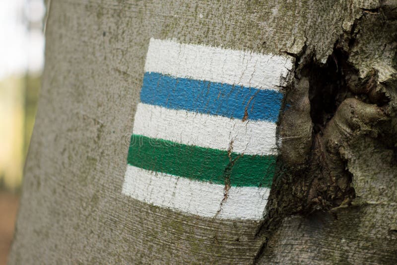 Trail Marks, Painted on Tree. Blue and Green Trails Stock Image - Image ...