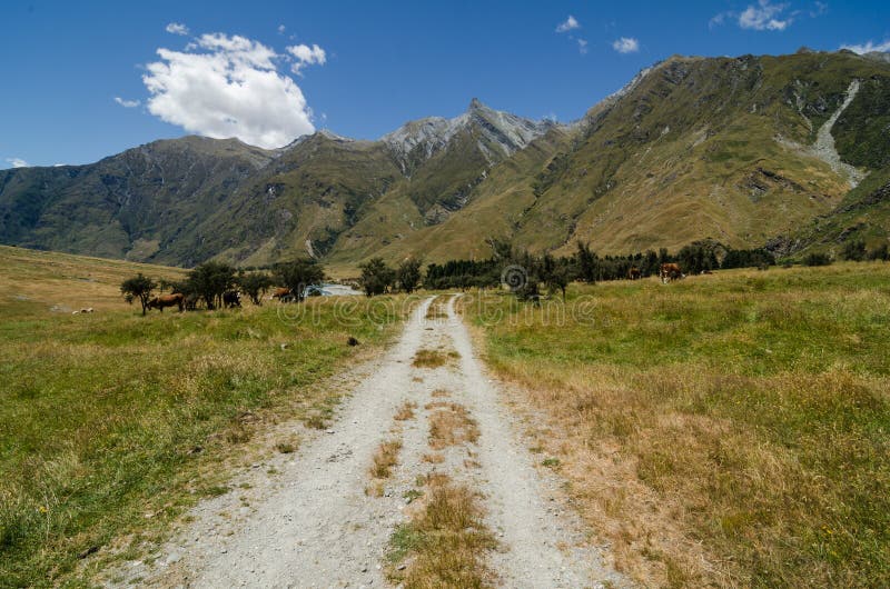A trail in a meadow stock photo. Image of mountain, spring - 26665112