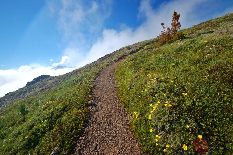 Trail in the mountains stock image. Image of mountains - 1134685