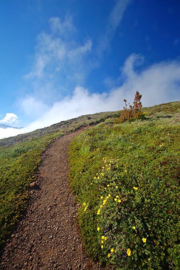 Trail in the mountains stock image. Image of spring, tourism - 39342371