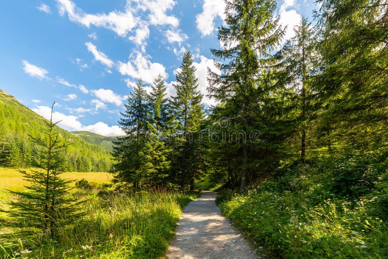 The trail in the mountains stock image. Image of view - 163543475