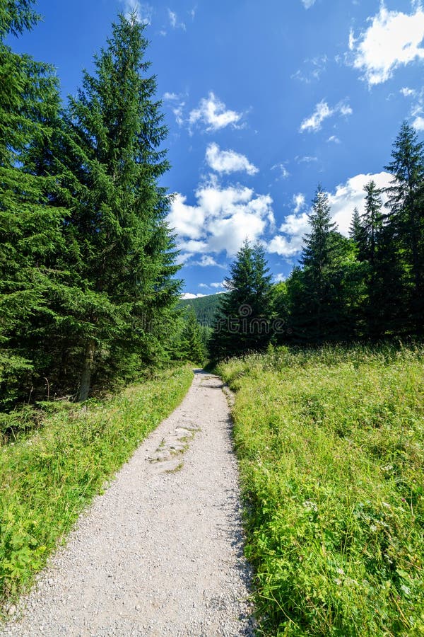 The trail in the mountains stock photo. Image of park - 163543546