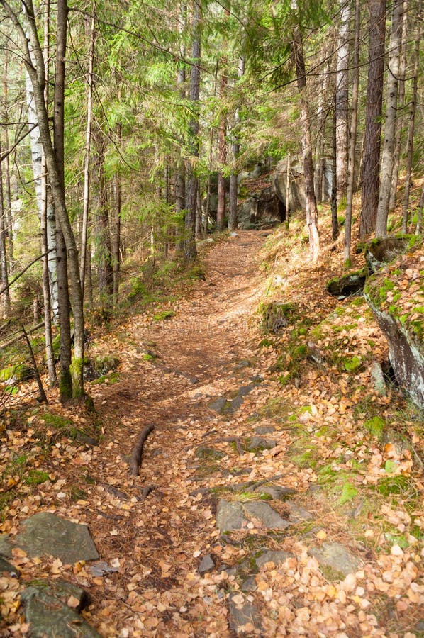 The trail in the mountains stock image. Image of trail - 62749167