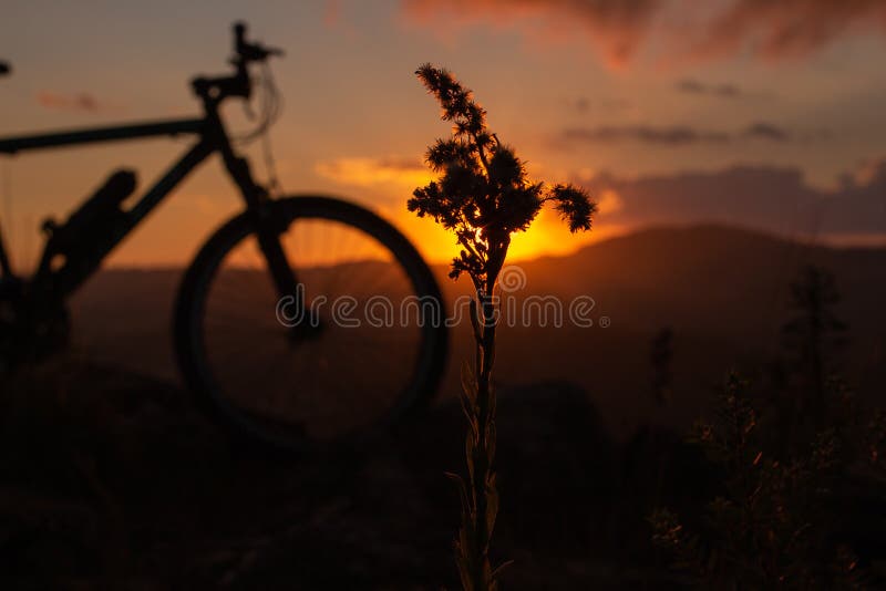 Trail and mtb at sunset stock image. Image of poster - 219721641
