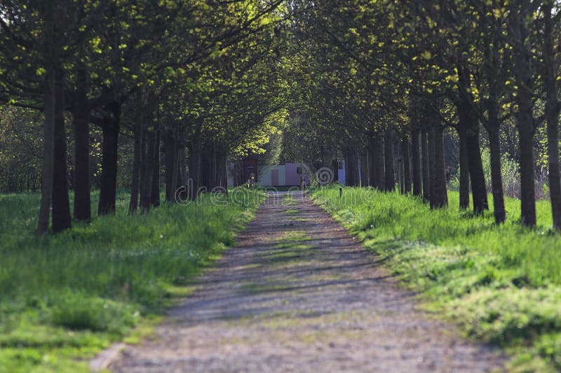 Trail in a park stock photo. Image of sunset, countryside - 372987788